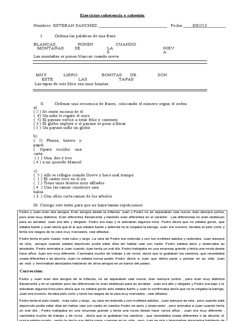 Ejercicios de Coherencia y Cohesión ESTEBAN S | PDF