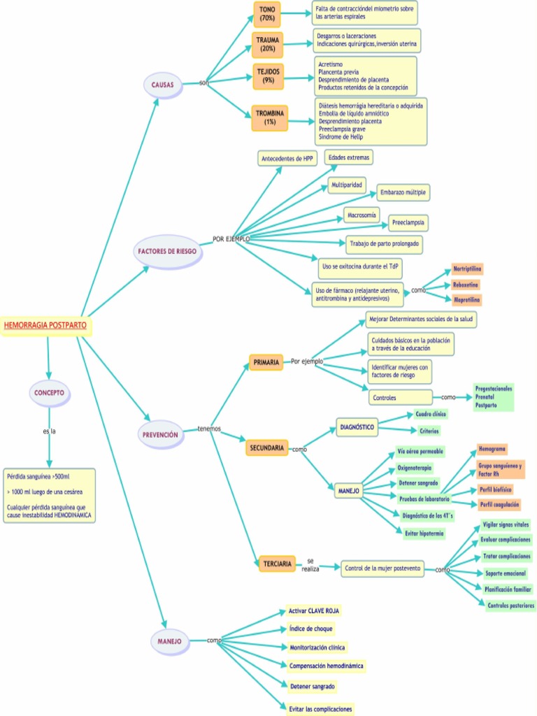 Mapa conceptual de HPP | PDF