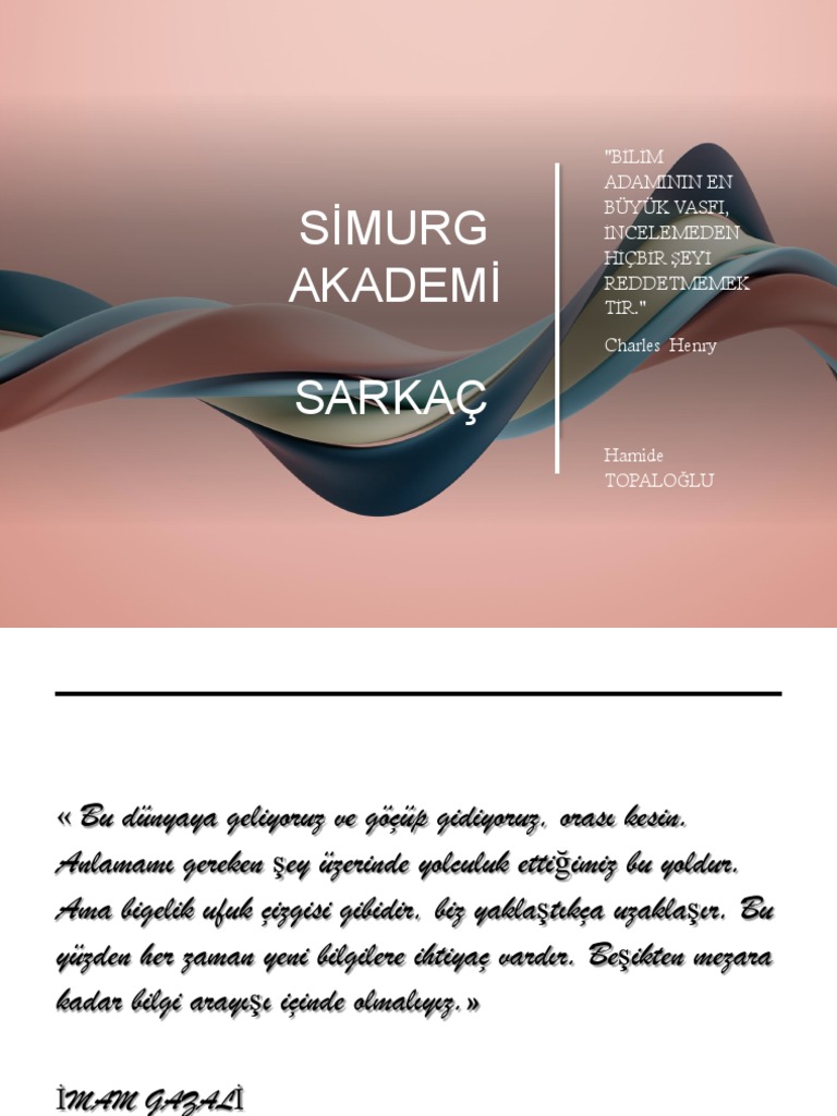 Sarkaç EğitimTemel Seviyesi | PDF