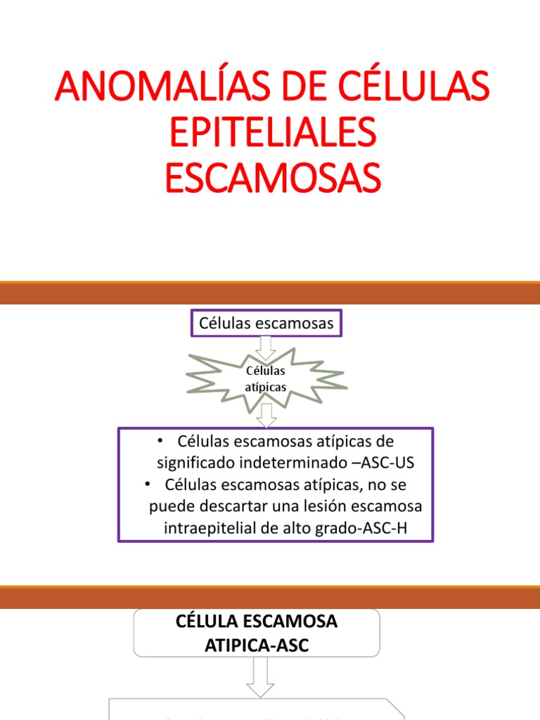 14. ANOMALÍAS DE CÉLULAS EPITELIALES ESCAMOSAS | PDF | Biología Celular ...