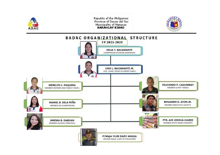 Badac Organizational Structure | PDF