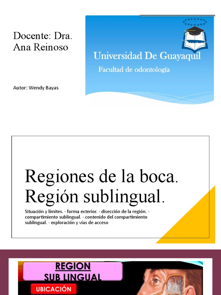 Region Sublingual | PDF