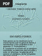 Eurytrema Pancreaticum | PDF | Ciencia y matemáticas