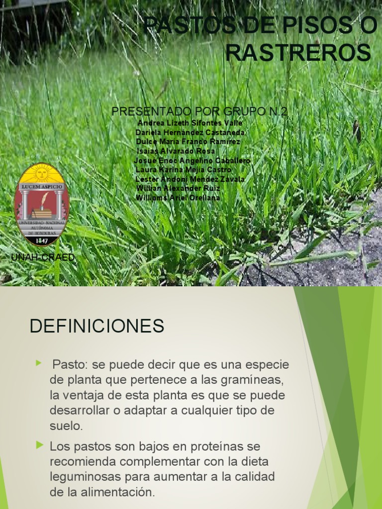 Informe Sobre Zacates y Su Cuidados | PDF | Agricultura