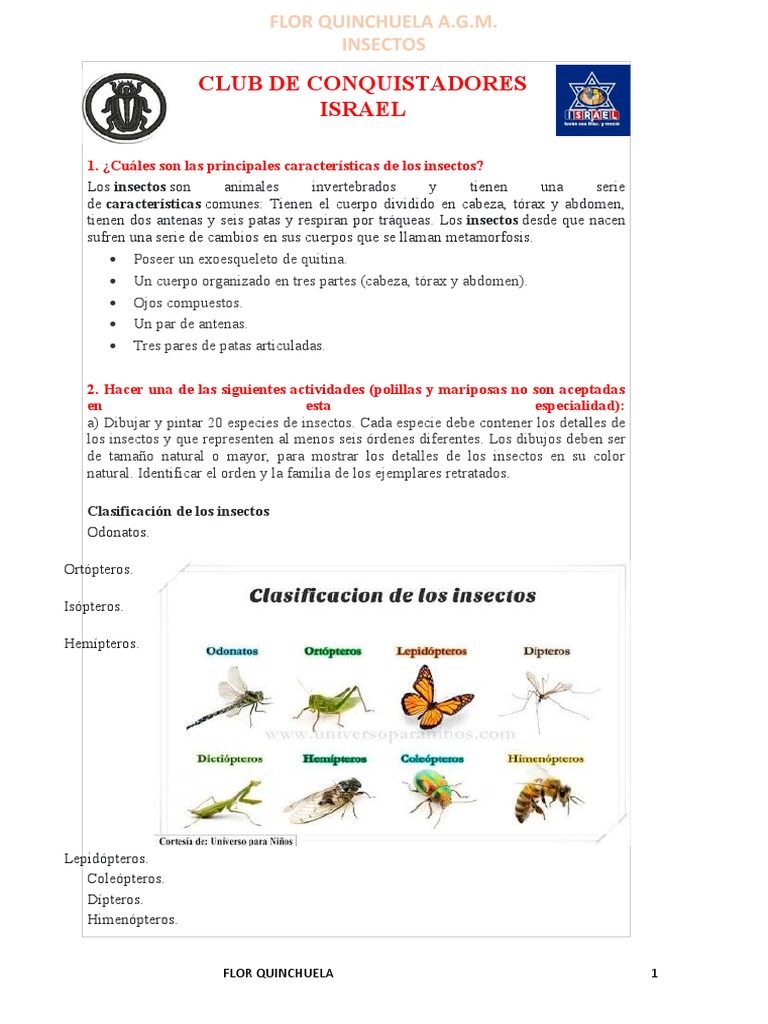Insectos CONQUISTADORES | PDF | Insectos | Control biológico de plagas