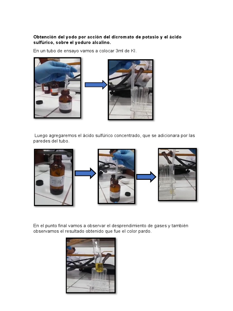 Obtención Del Yodo | PDF
