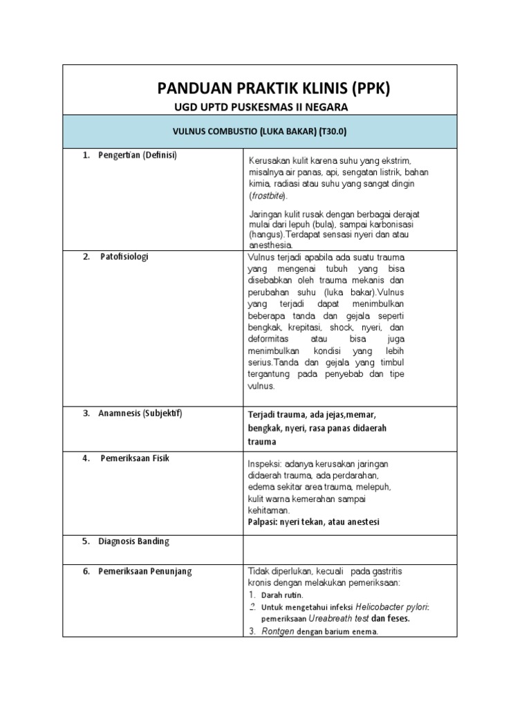 PPK Vulnus Combustio | PDF