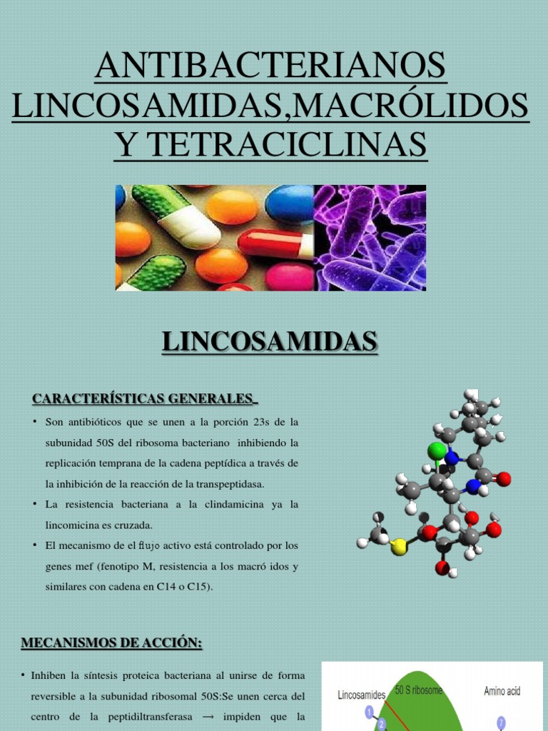 EXPOSICION (1) | PDF | Causas de la muerte | Medicina