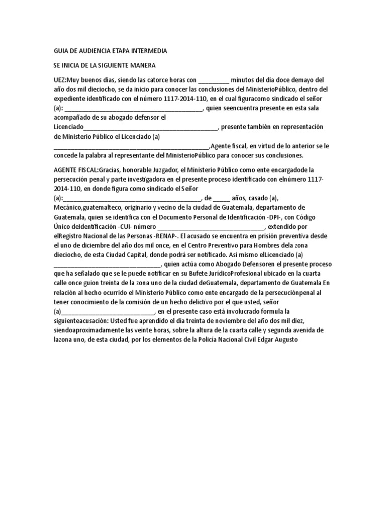 Guia de Audiencia Etapa Intermedia | PDF