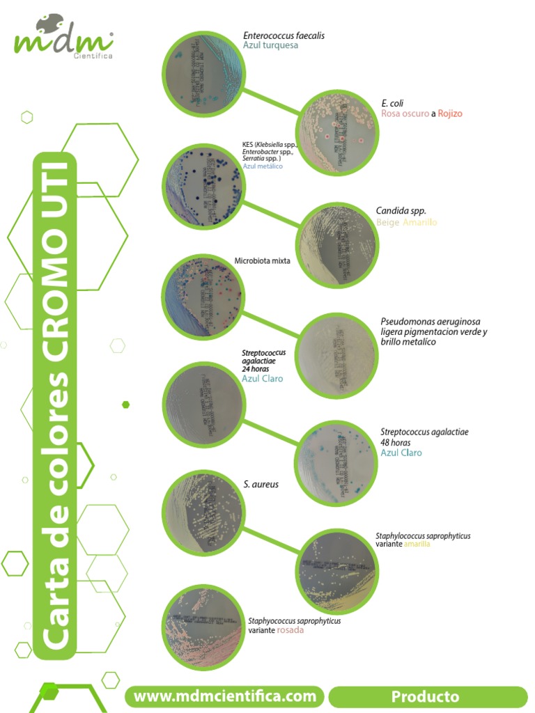 CARTA-DE-COLORES-AGAR-CROMO-UTI-24022021 | PDF