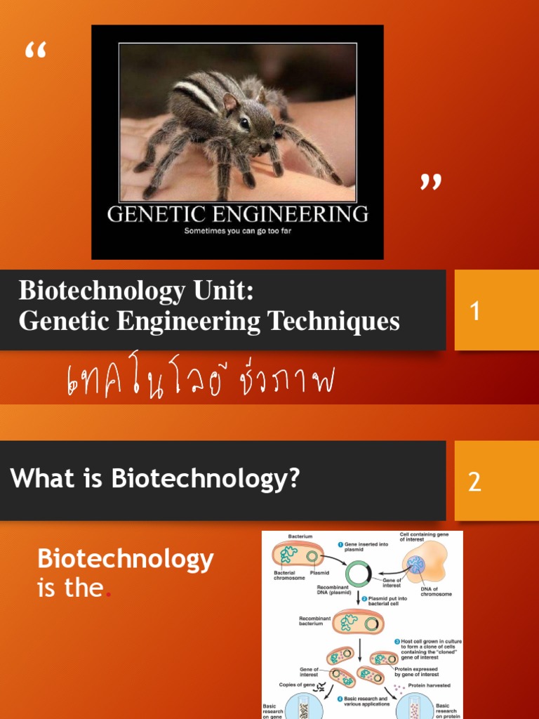 Biotechnology PP Genetic Engineering Student Notes | PDF | Cell Potency ...