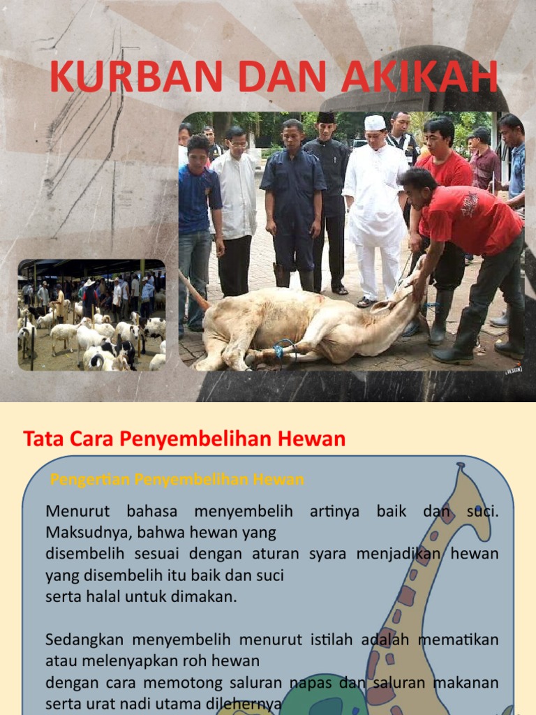 Tata Cara Kurban dan Akikah | PDF