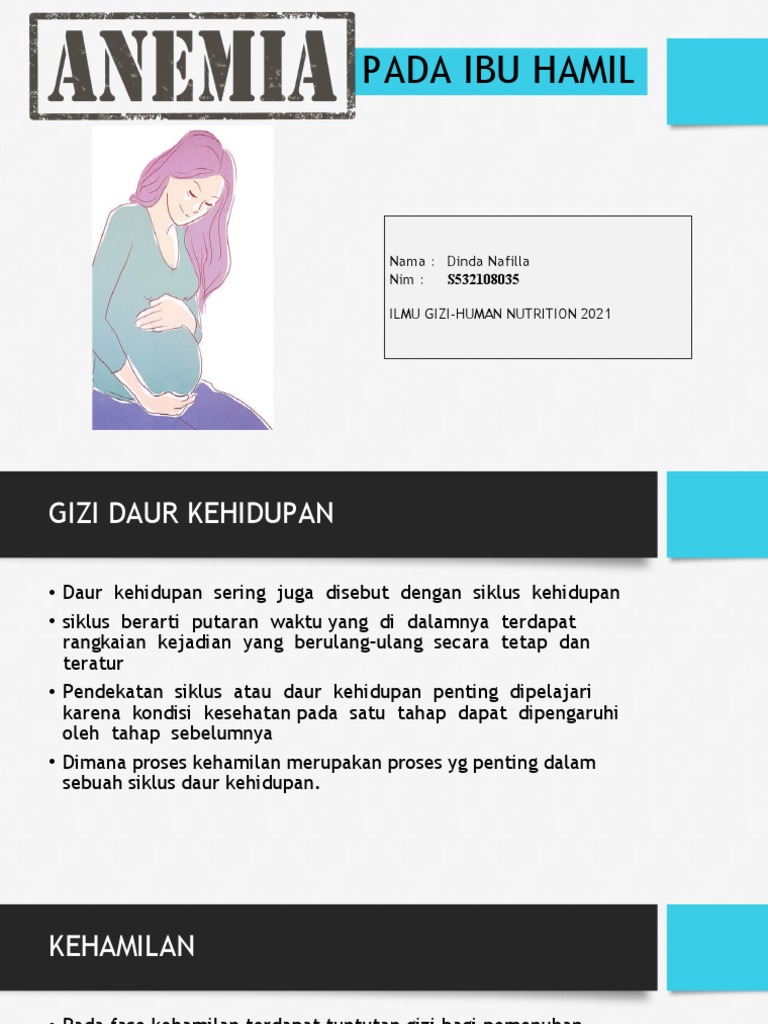 Gdk-Anemia Ibu Hamil | PDF