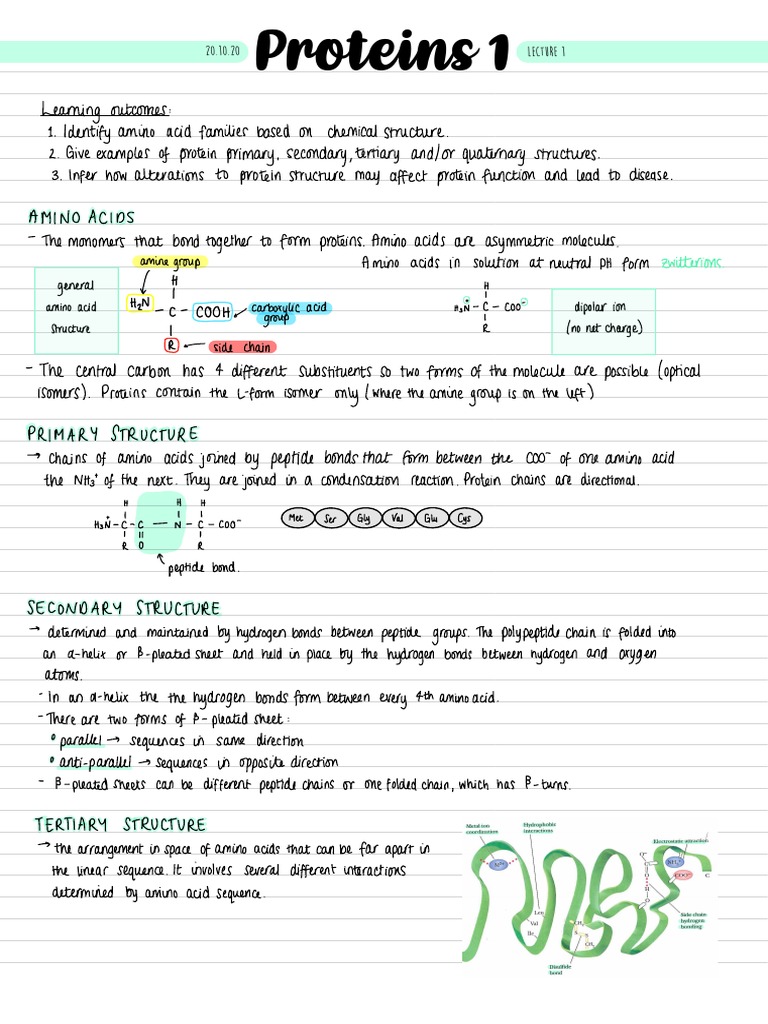 Biochemistry - Proteins | PDF | Enzyme | Active Site