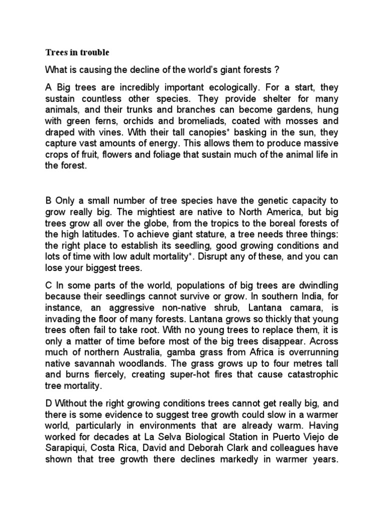 Forest Giants Under Threat | PDF | Trees | Forests