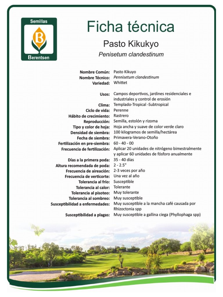 Ficha Técnica del Pasto Kikuyo | PDF