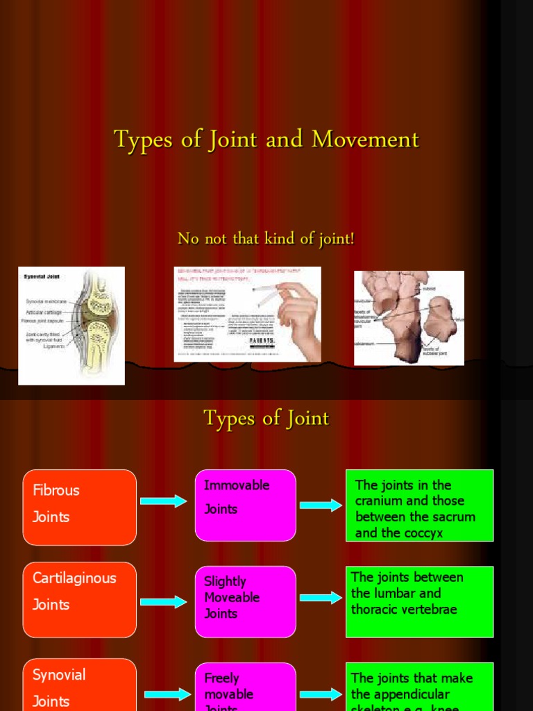Types of Joint and Movement | Download Free PDF | Anatomical Terms Of ...