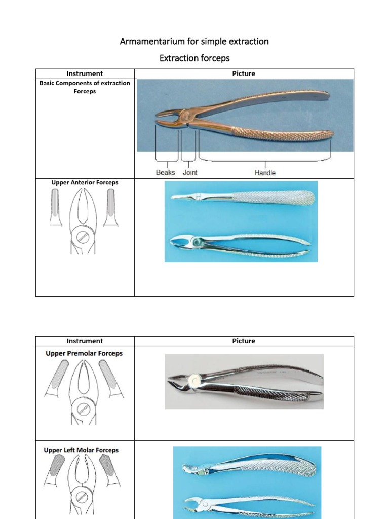 Dental Extraction Forceps Overview | PDF | Tooth | Dentistry Branches