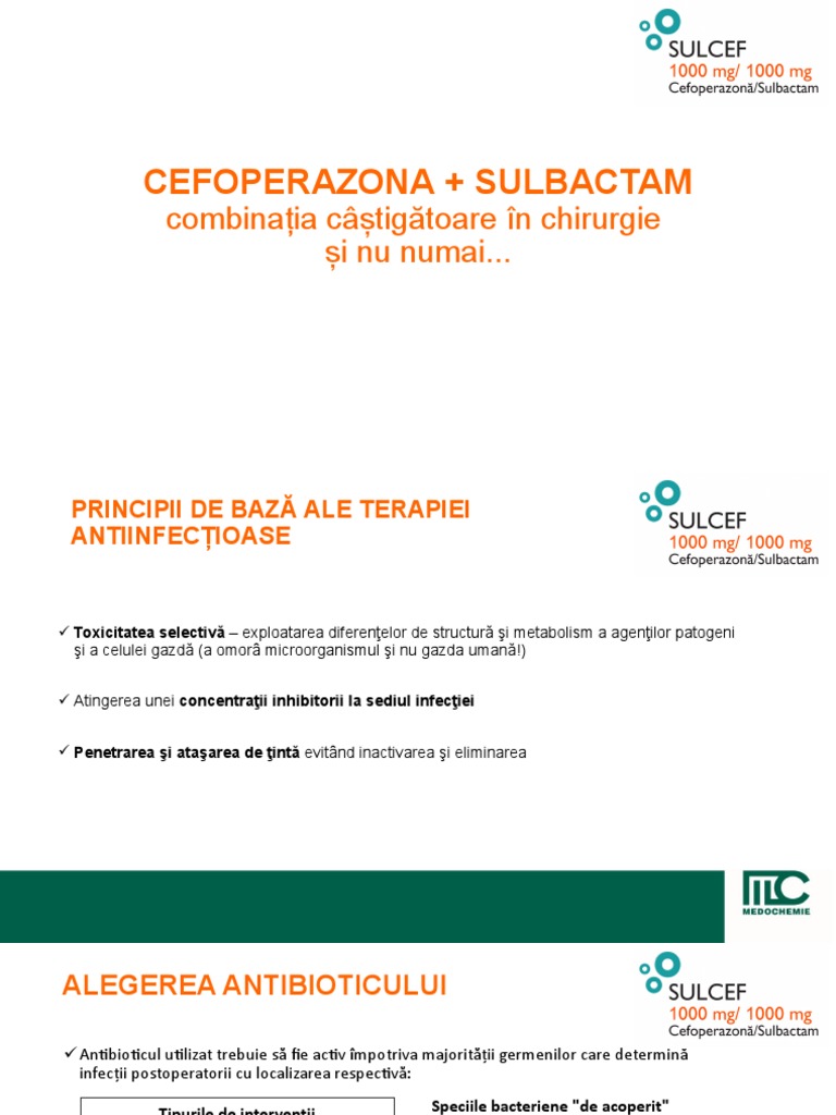 Prezentare Sulcef 2021 | PDF