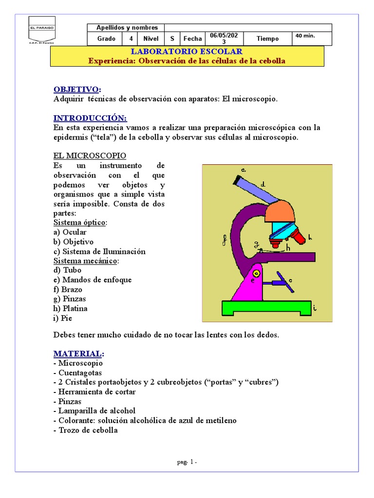 Practica de Laboratorio | PDF