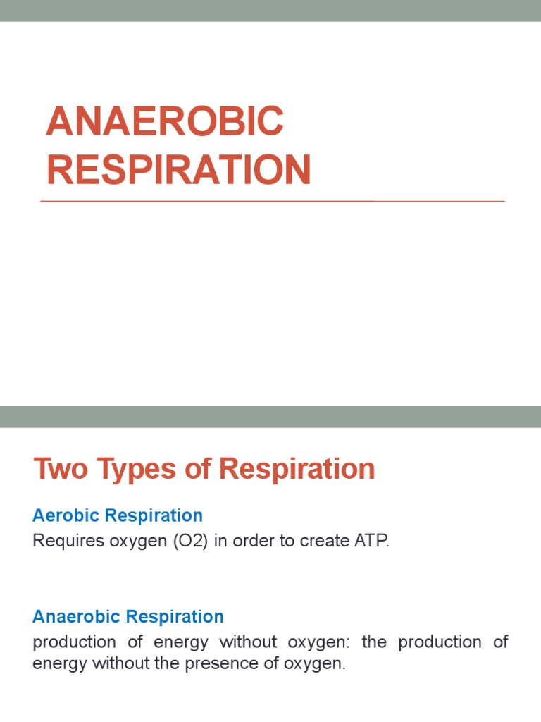 Anaerobic Respiration Overview | PDF | Cellular Respiration | Fermentation