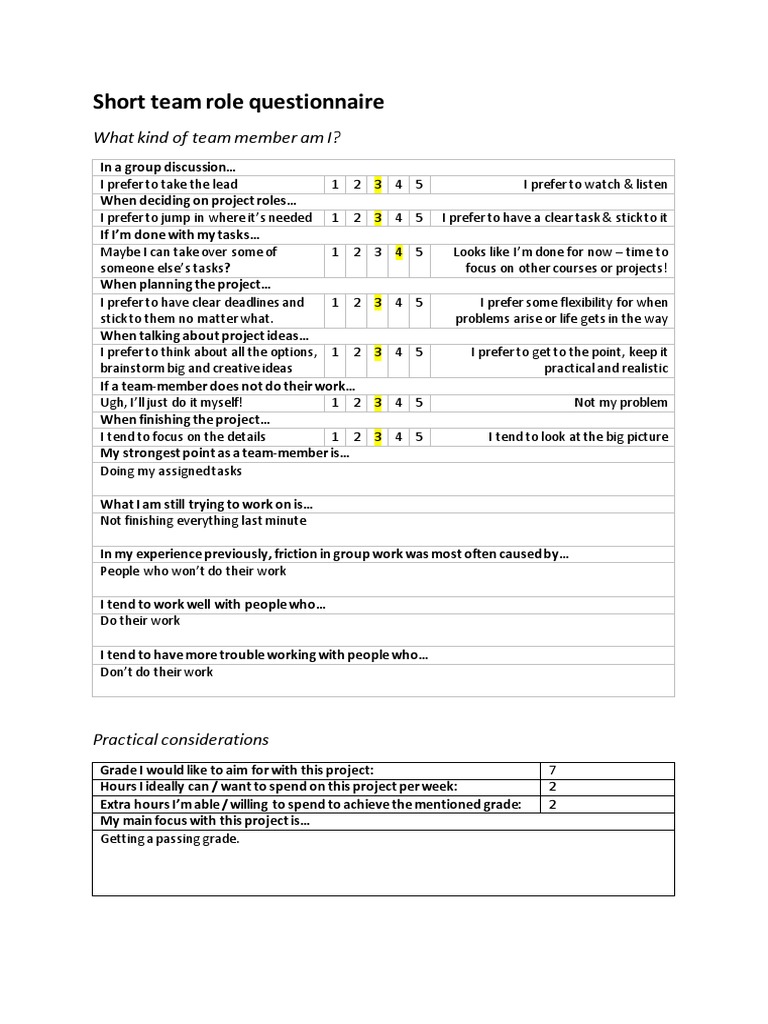 AS - Team Role Questionnaire | PDF