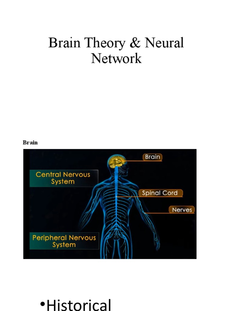 Brain Theory & Neural Network | PDF | Chemical Synapse | Neuron