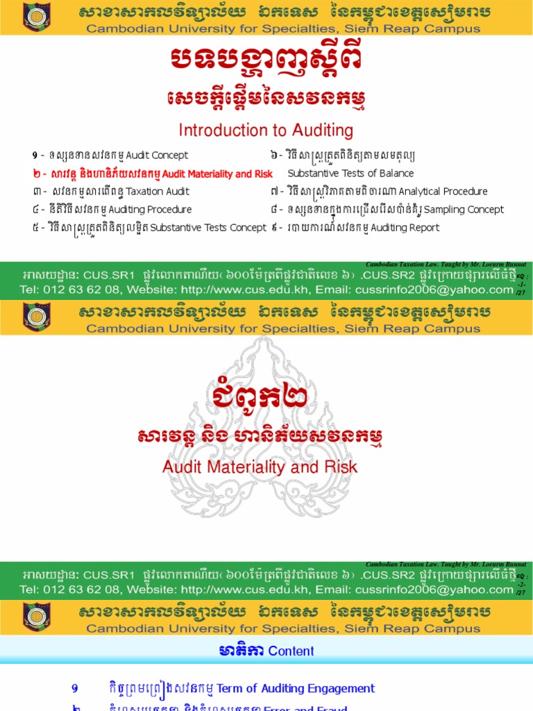Chapter 2 Audit Materiality and Risk | PDF
