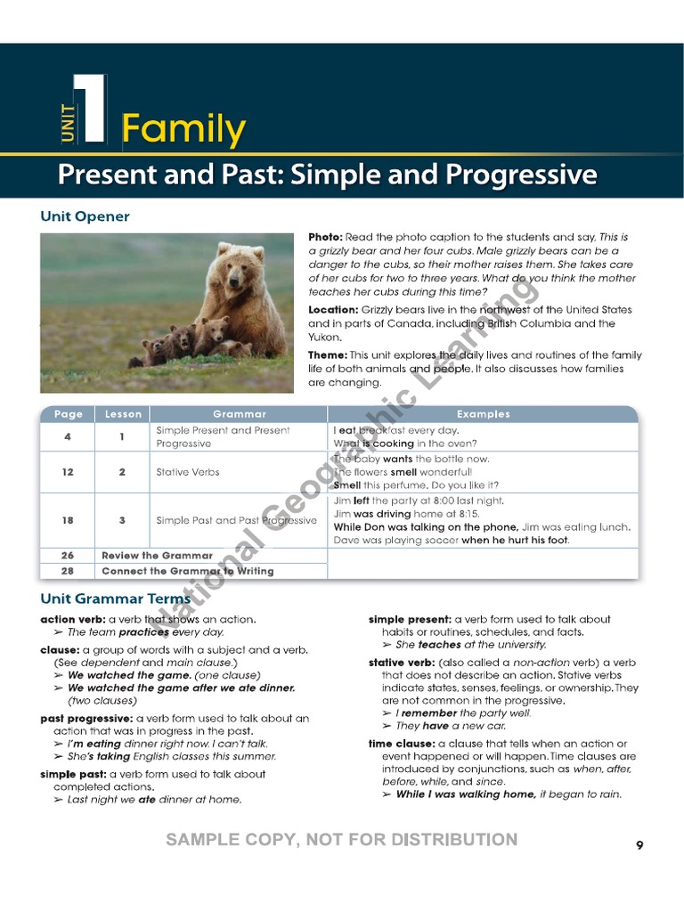 Teacher Guide For Grammar Explorer Book 2 | PDF