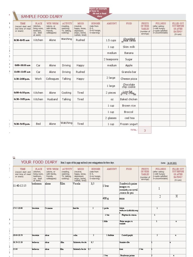 Food Diary | PDF | Eating | Hunger