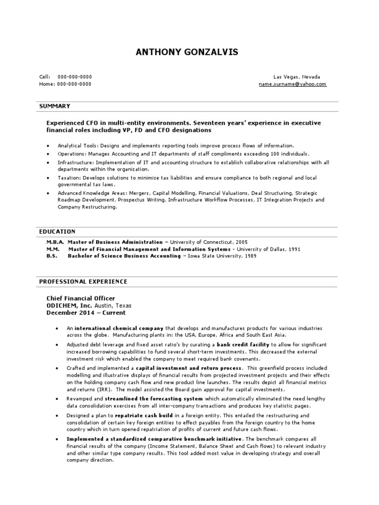 Professional Resume Sample | PDF | Debt | Accounting