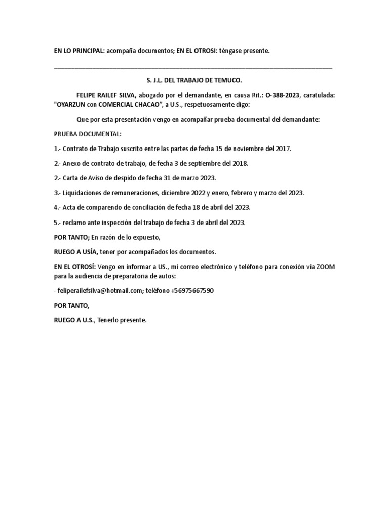 Datos y Documentos Oyarzun | PDF