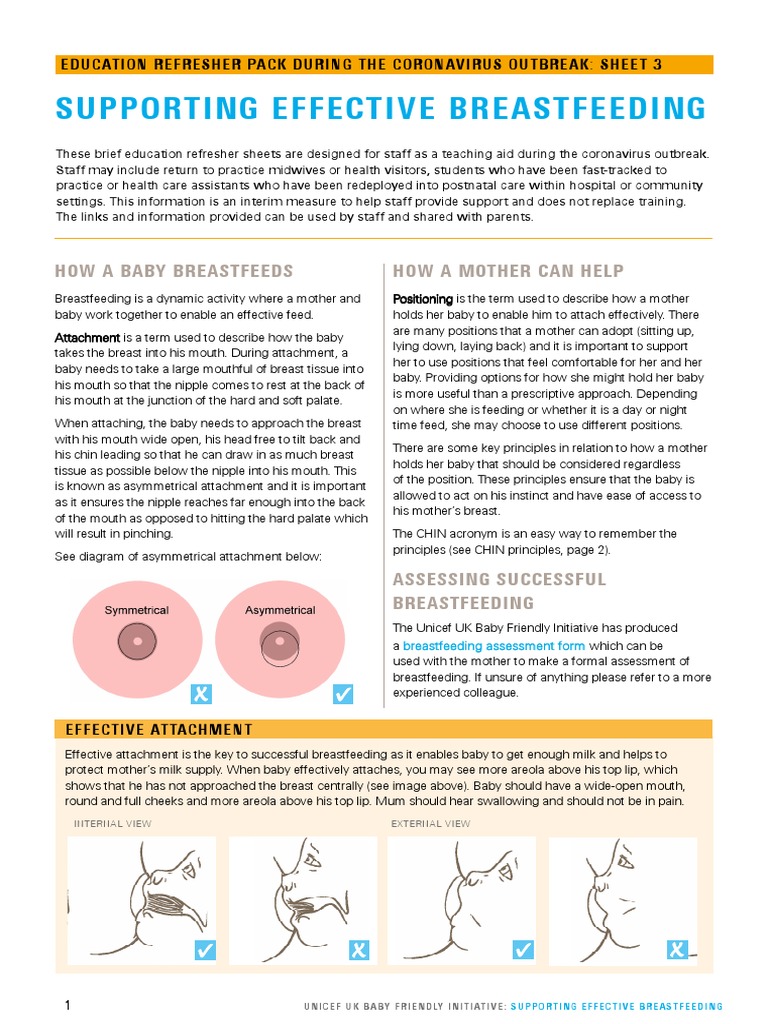 Unicef UK Baby Friendly Initiative Education Refresher Sheet 3 | PDF
