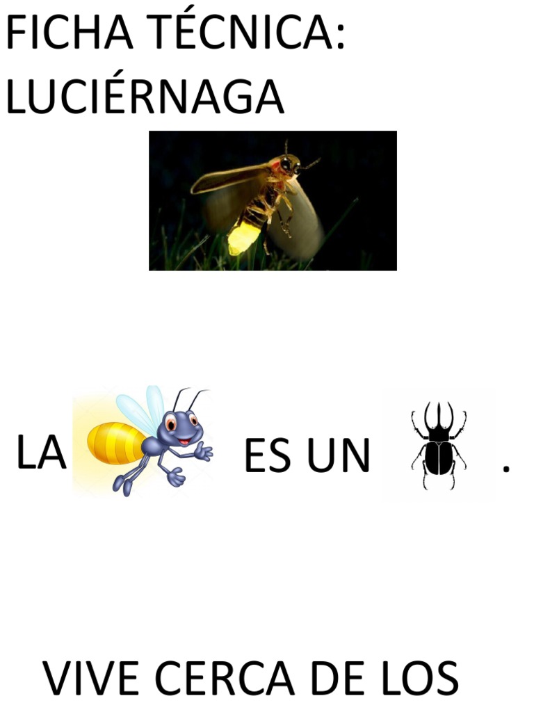 Ficha Técnica de la Luciérnaga | PDF | Religión y espiritualidad ...