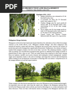 Copra Farming Calculator | PDF | Return On Investment | Coconut