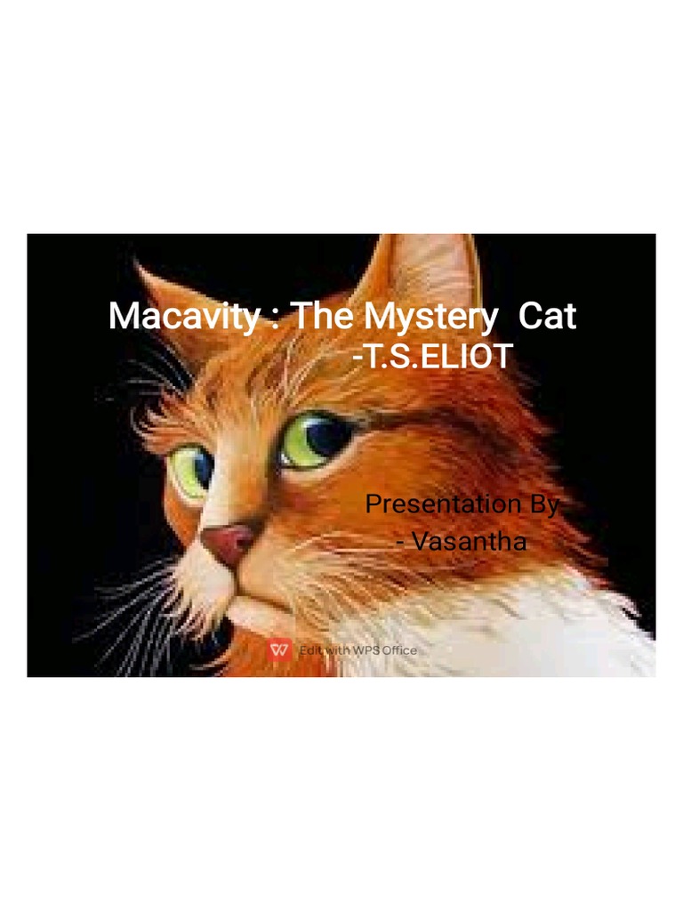 Macavity - Notes | PDF