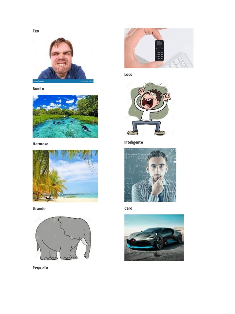 feo-pdf