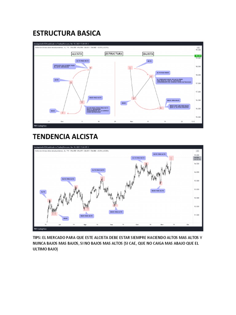 Estructura Basica | PDF
