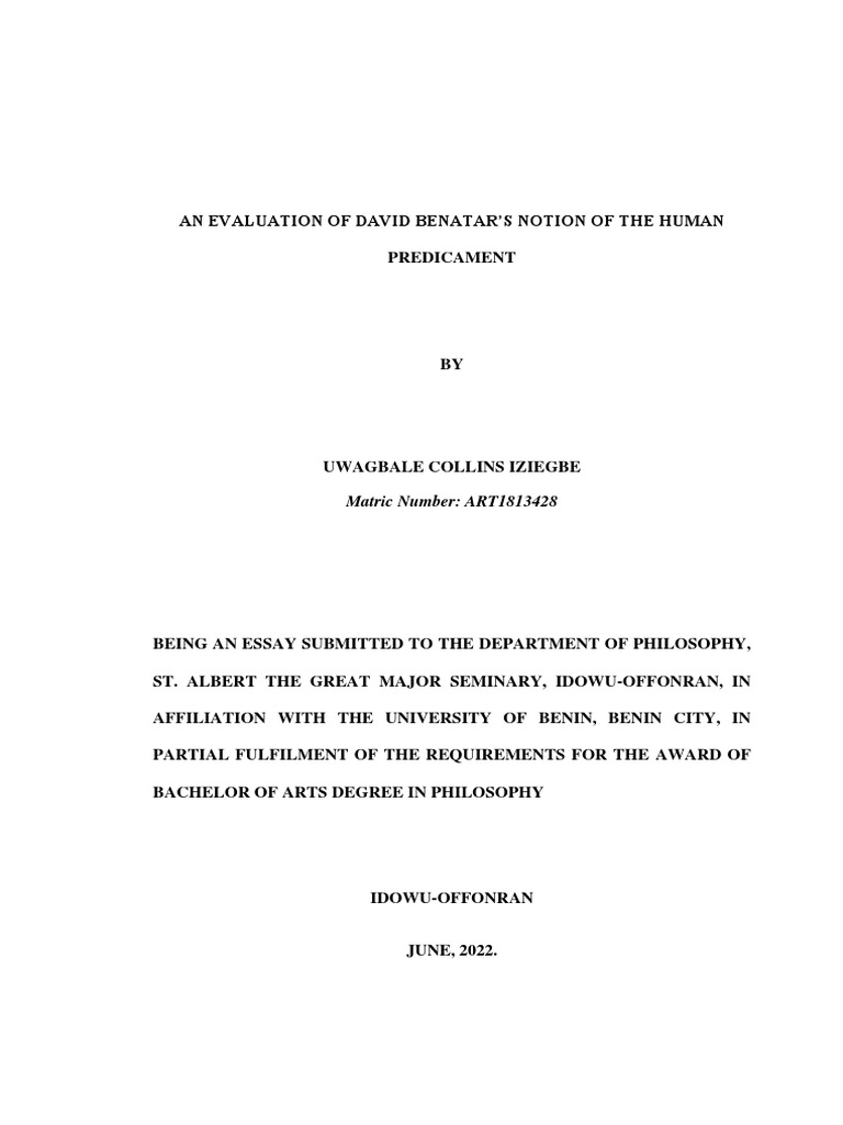 An Evaluation of David Benatar Notion On Human Predicament | PDF ...