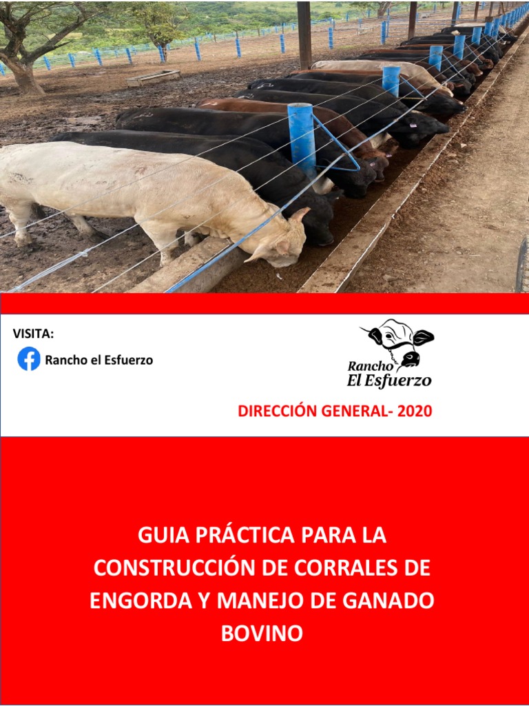Guía Práctica para La Construcción de Corrales de Engorda y Manejo de ...