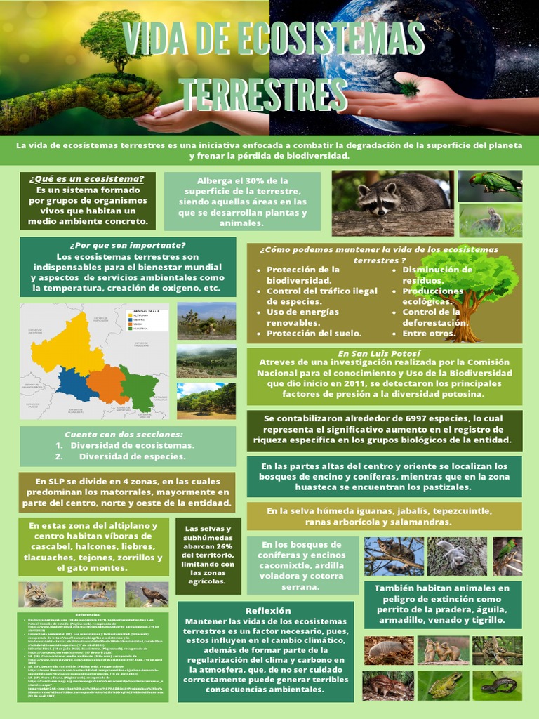 Vida de Ecosistemas Terrestres | PDF | Ecosistema | Biodiversidad