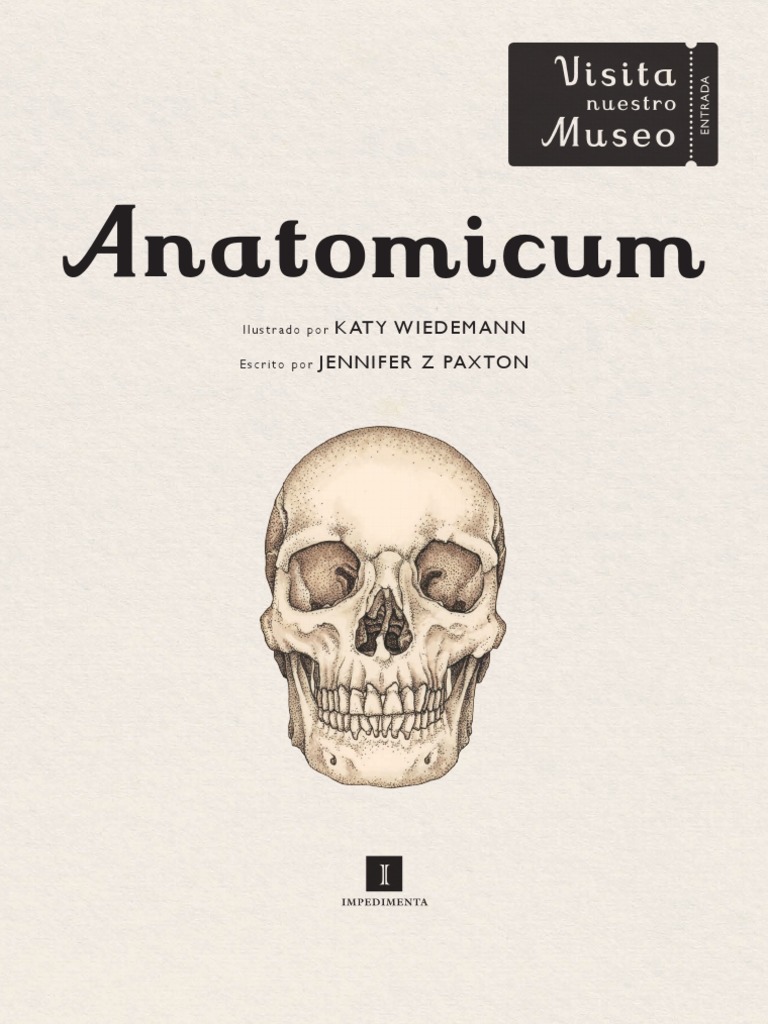 Explorando el Cuerpo en Anatomicum | PDF | Esqueleto | Hueso