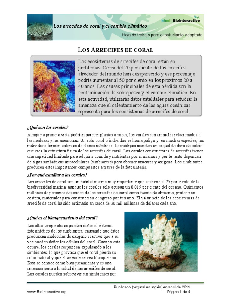 Coral Activity Student Final - Spanish | PDF | Arrecife de coral ...
