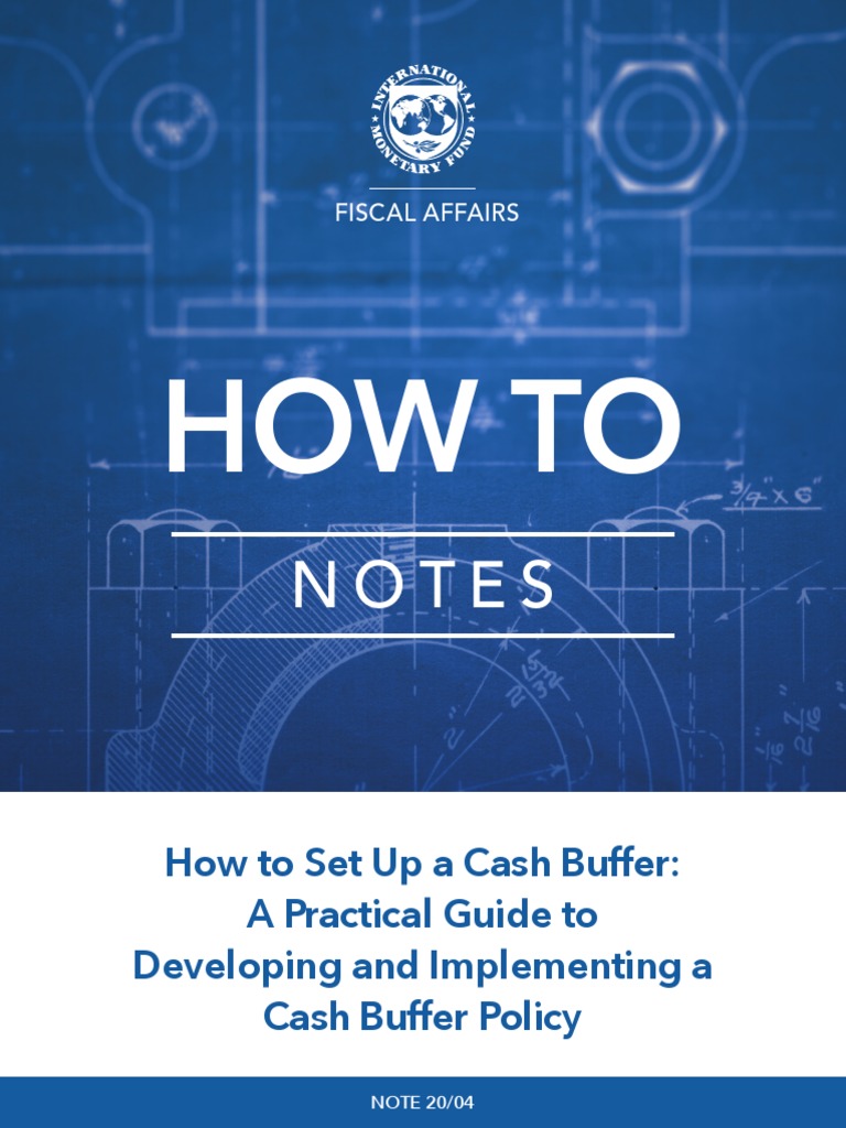 IMF Cash Buffer 2020004 | PDF | Debt | Market Liquidity