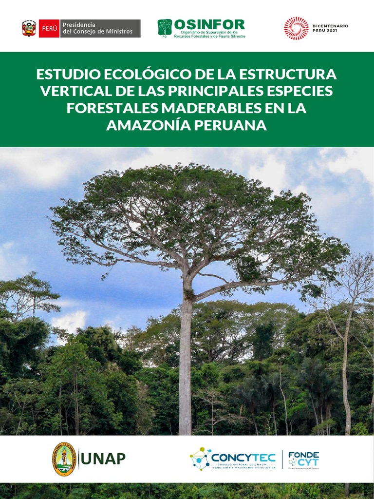 Estudio Ecológico de La Estructura Vertical de Las Principales Especies Forestales Maderables en ...