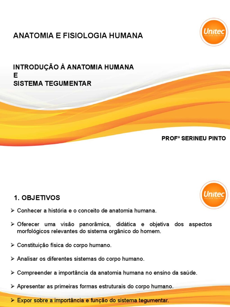 Anatomia e Sistema Tegumentar Humano | PDF | Pele | Corpo humano