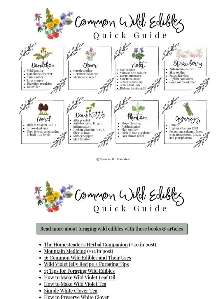 Common Wild Edibles Quick Guide Freebie 11 × 8.5 in | PDF | Medical ... Common Wild Edibles Quick Guide Freebie 11 × 8.5 in | PDF | Medical ...