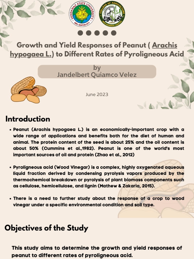 Peanut Growth Response to Pyroligneous Acid | PDF | Analysis Of ...