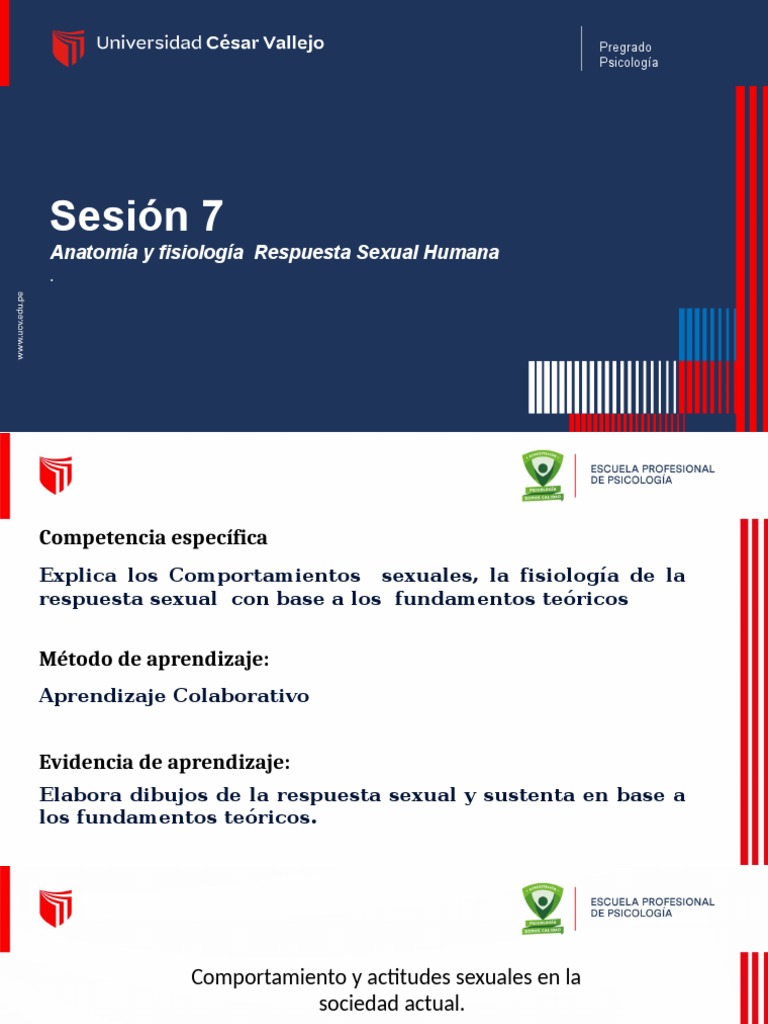 Anatomia De Sexualidad Humana Tagged Pdf Sistema Reproductivo