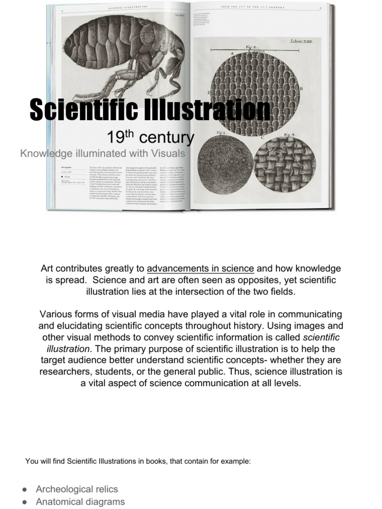 19th Century Scientific Illustration | PDF